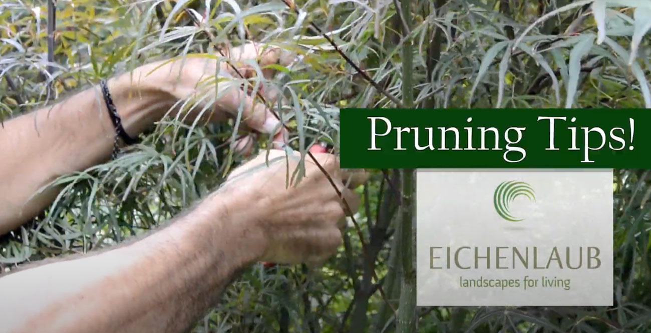 Garden Pruning Tips | Eichenlaub Inc.
