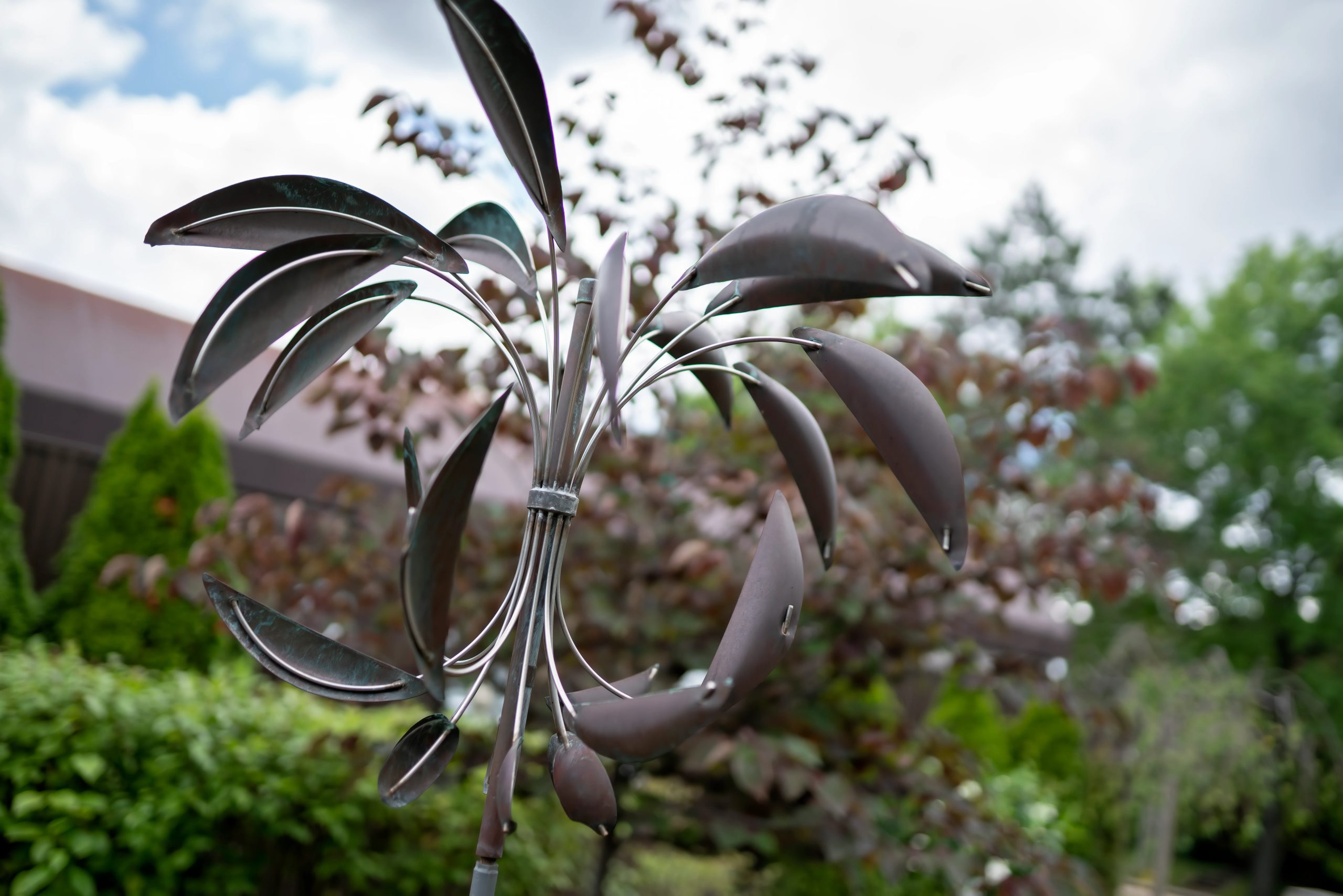 Portfolio | Eichenlaub Inc.