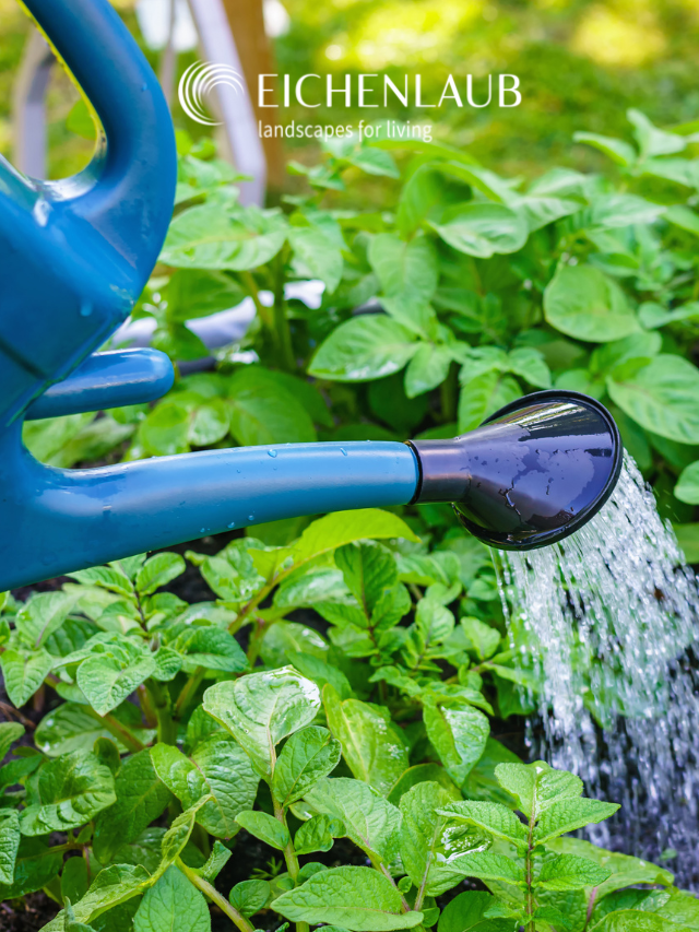 Quick Tips For Hand Watering Plants | Eichenlaub Inc.